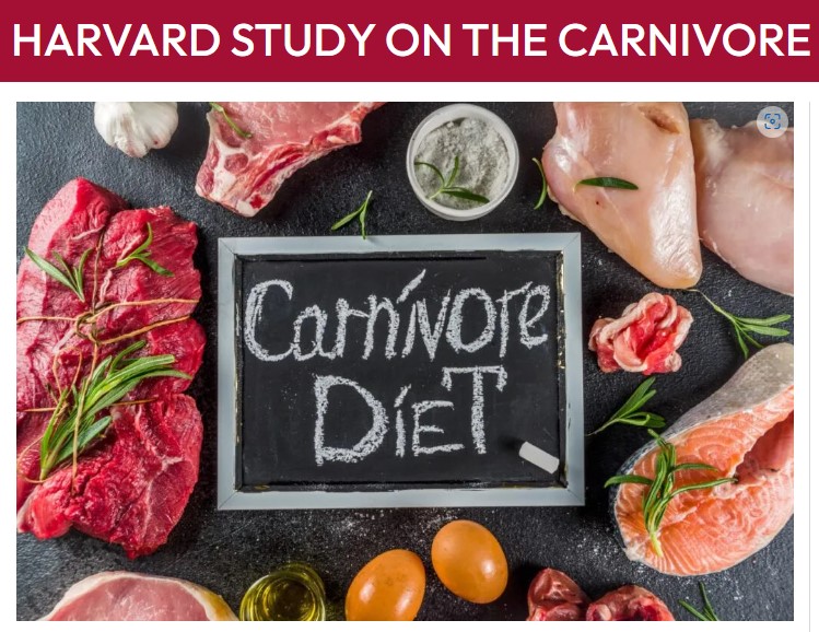 The Carnivore Diet Approach - Good, Bad, or Indifferent - Optimal ...